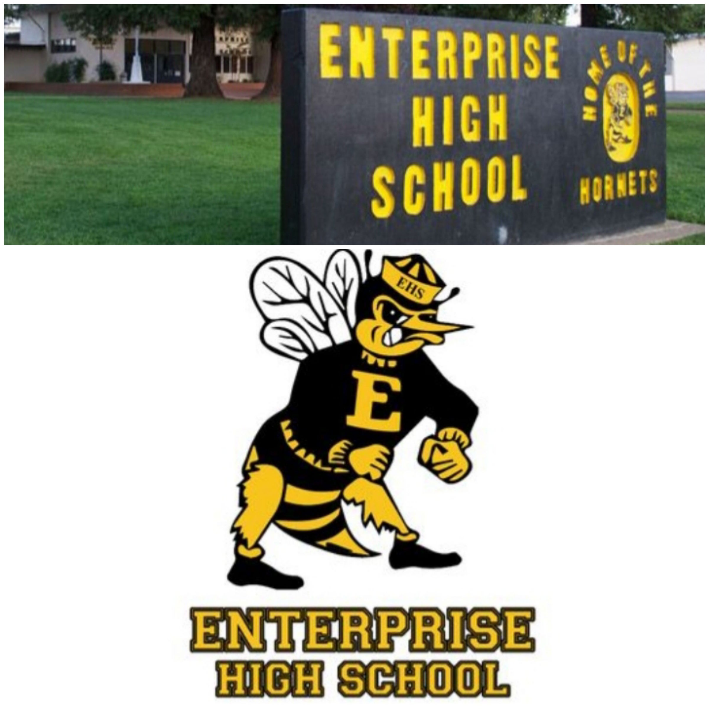 Enterprise High School Logo